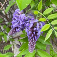 Sarah Sumpter LPC – Convenient, Meaningful Mental Health Therapy